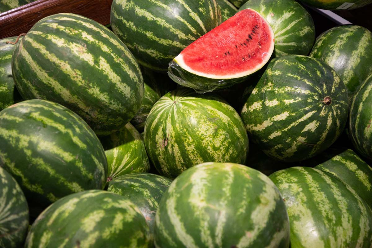 European Watermelon & melon - EU ORGANIC